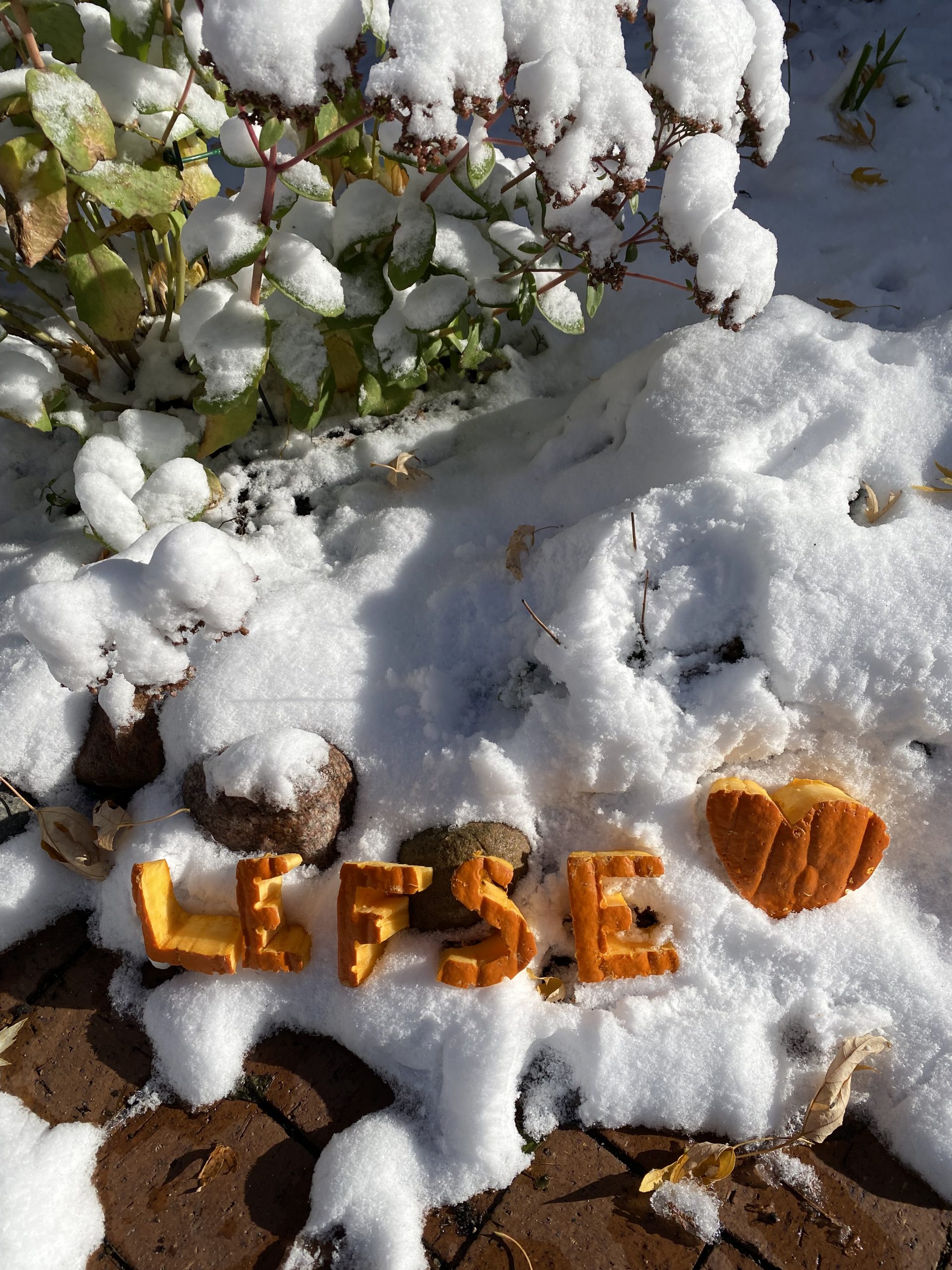 Lefse – Lefse King